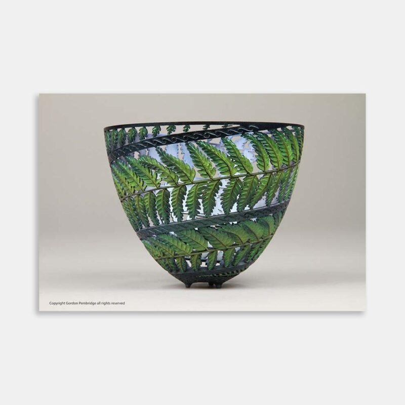 New Zealand Silver Fern – Gordon Pembridge Wildlife Artist