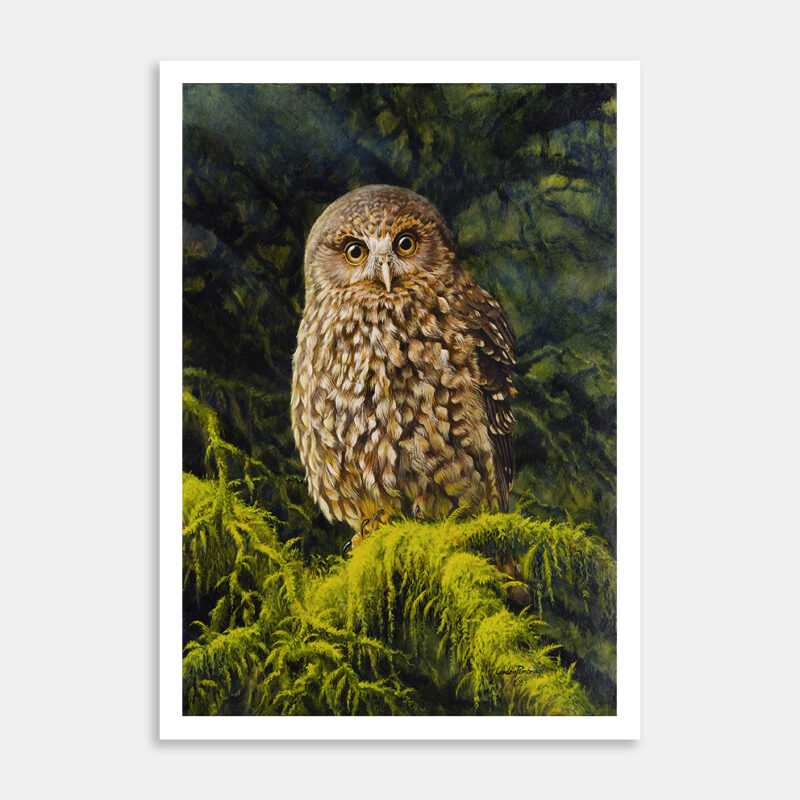 Morpork Fine Art Print – Gordon Pembridge Wildlife Artist